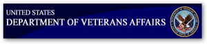 VA Can Now Use the “Blue Button” to Download Their Data from Their PHR ...